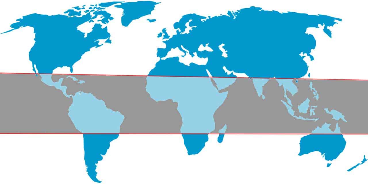 Are Coffee Beans Considered a Fruit? - Home Cadet