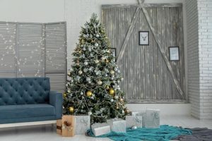 24 Types of Christmas Trees (Pictures & Recommendations) - Home Cadet