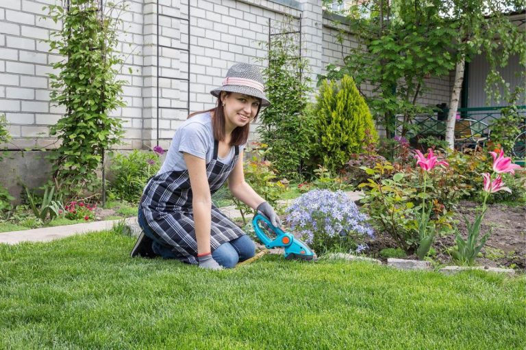 How to Cover up Mud in Your Backyard (5 Tips) - Home Cadet