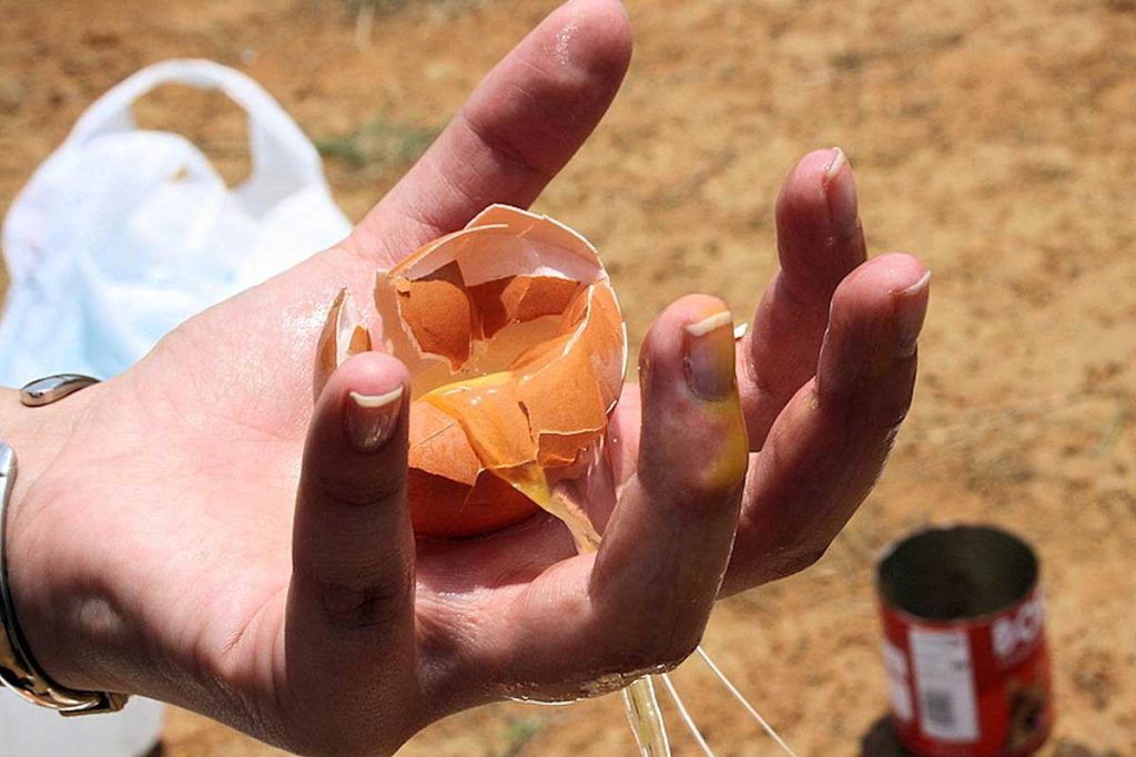 What to Do if Your House Gets Egged (8 Tips) - Home Cadet