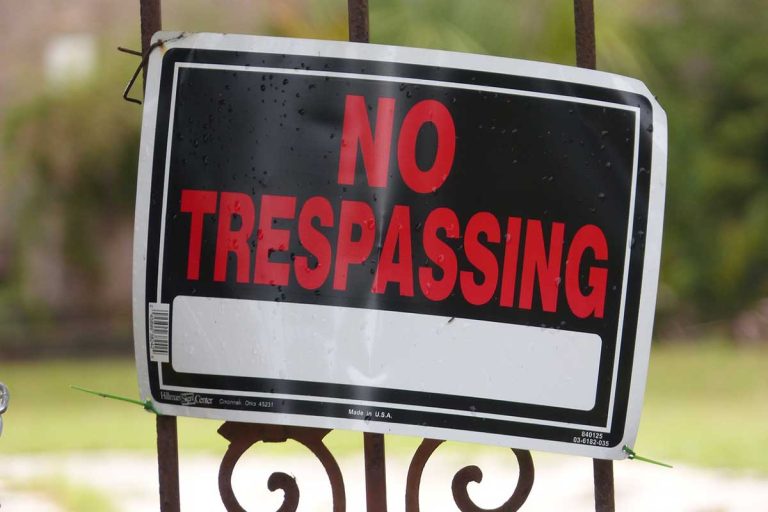 How To Stop Your Neighbor's Kids From Coming Over - Home Cadet